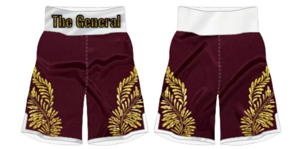 Design Your Own Boxing Shorts | Custom Fightwear | Boxxerworld
