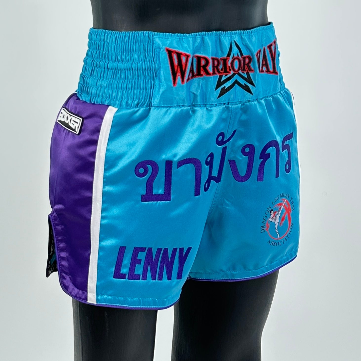 Muay Thai Shorts | Gallery | Boxxerworld