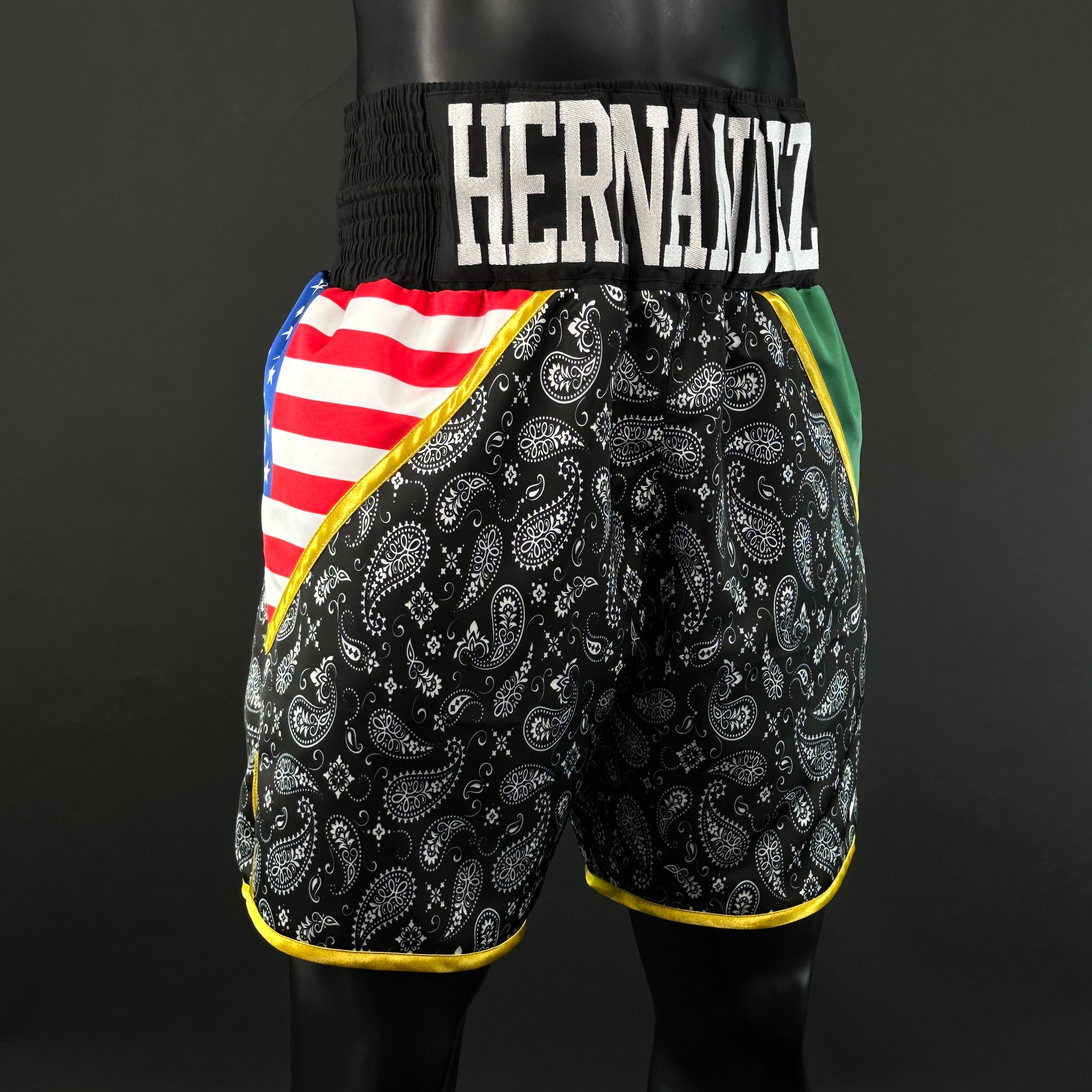 Boxing Shorts & Trunks | Gallery | Boxxerworld