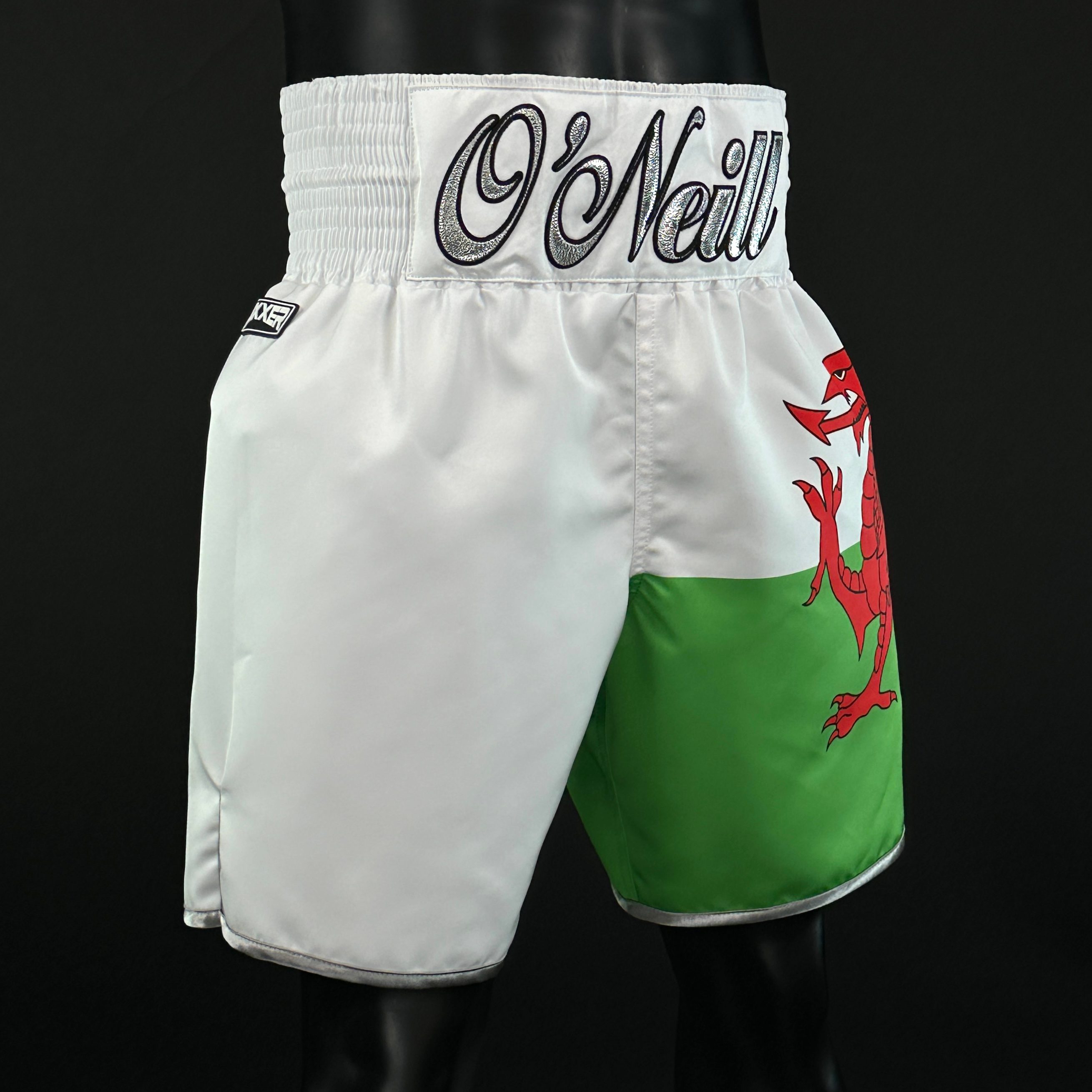 Boxing Shorts & Trunks | Gallery | Boxxerworld