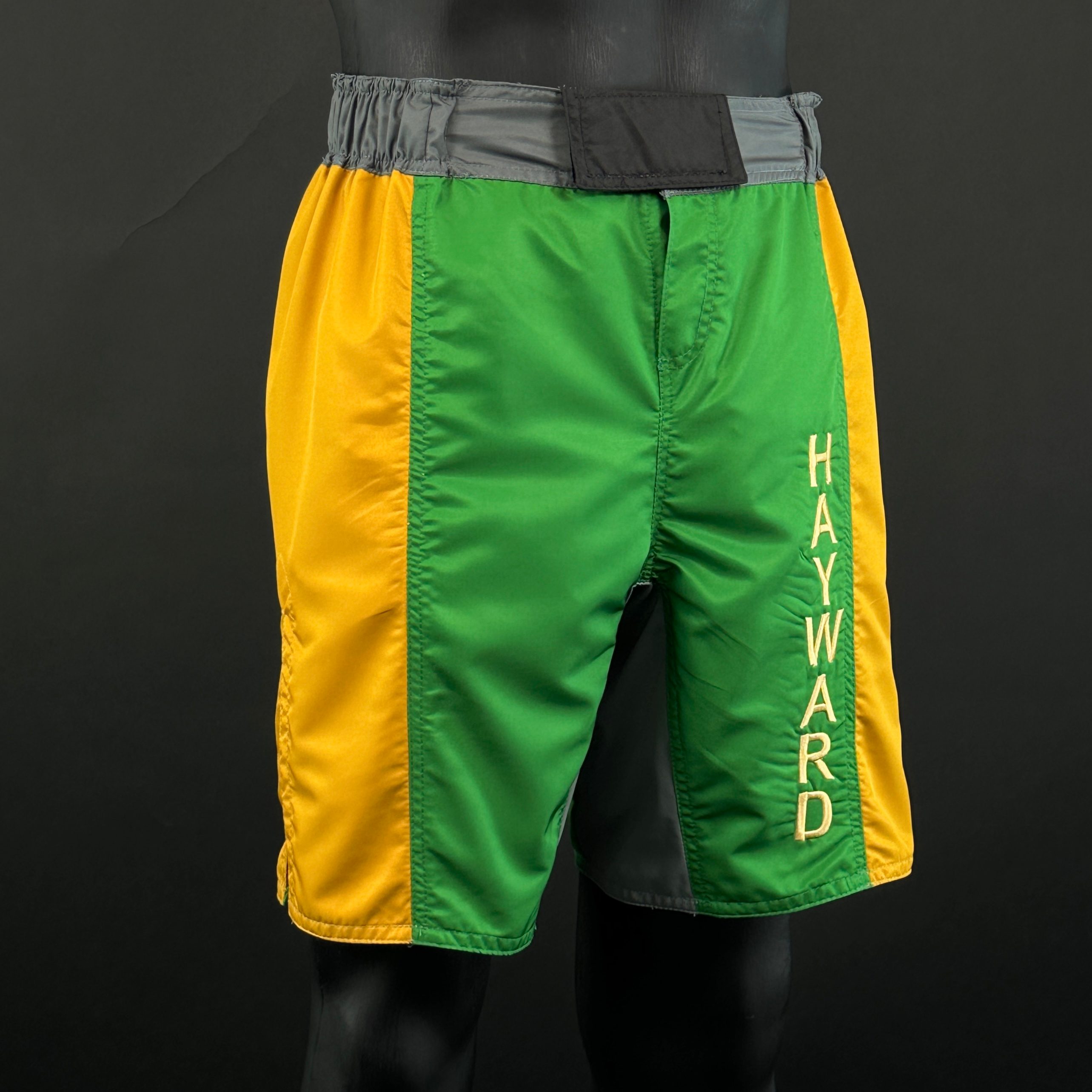 MMA shorts | Custom Fightwear | Boxxerworld