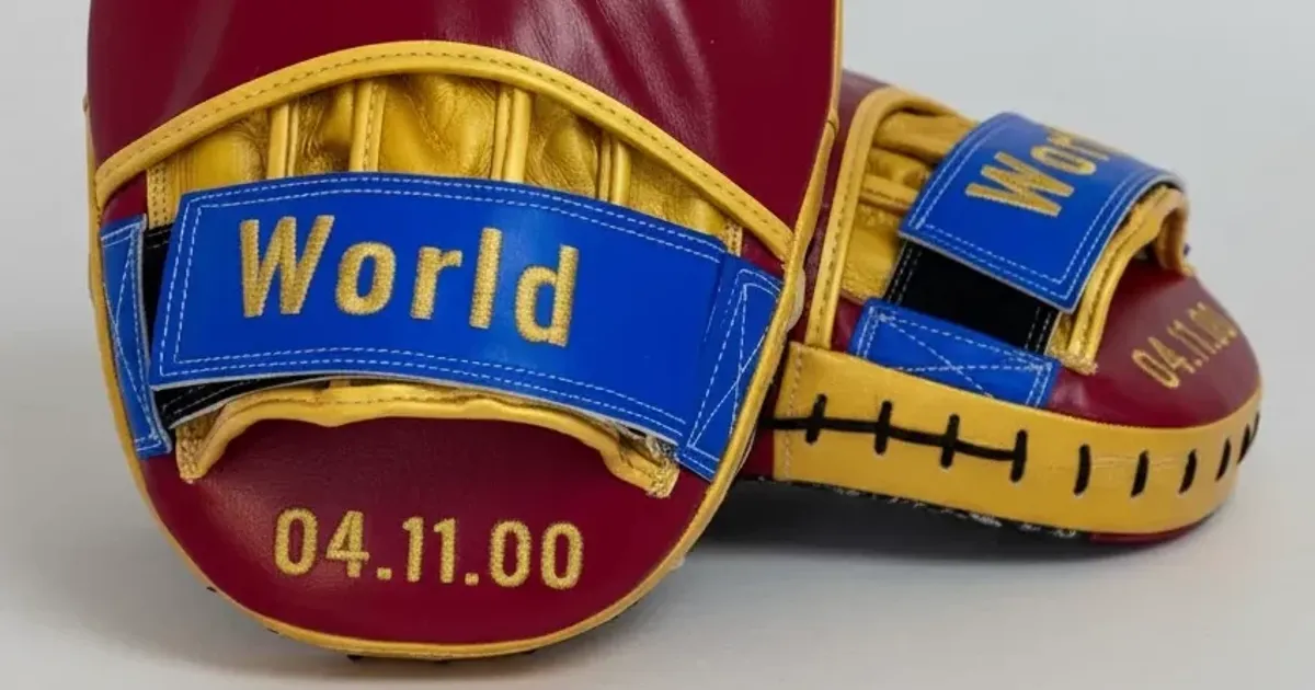 Maroon Yellow Blue Leather Custom Focus Pads | Personalized Boxing Pads ...